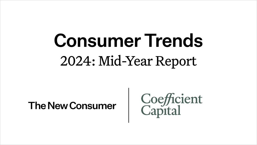 Consumer-Trends-2024-Mid-Year-Chart.001 - The New Consumer